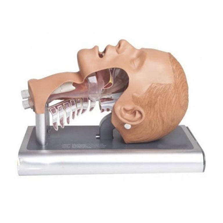 Manikin, Ambu Airway Management Trainer (head only) - Penn Care, Inc.
