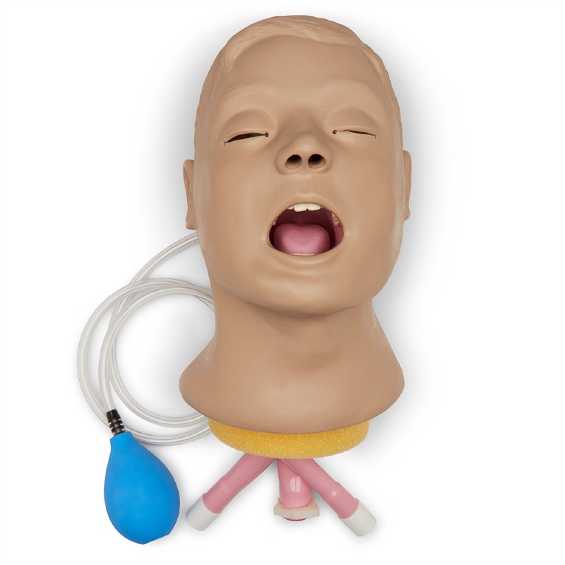 Airway-Larry-Trainer-Head - Penn Care, Inc.