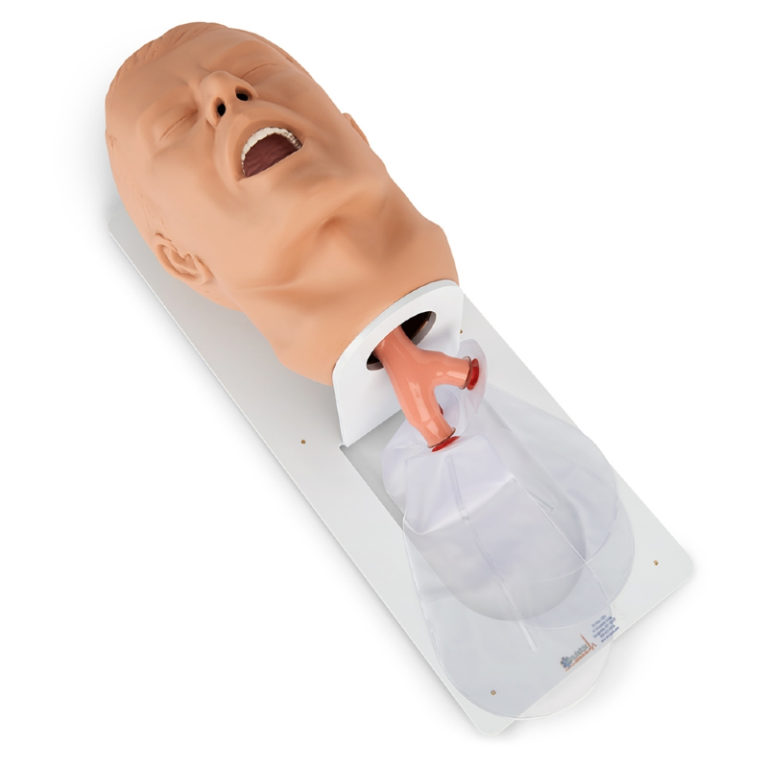 Manikin, Simulaids Economy Adult Airway Management Trainer - Penn Care ...