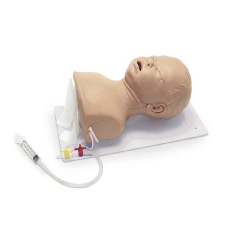 Manikin, Nasco, Deluxe Intubation Head, - Penn Care, Inc.