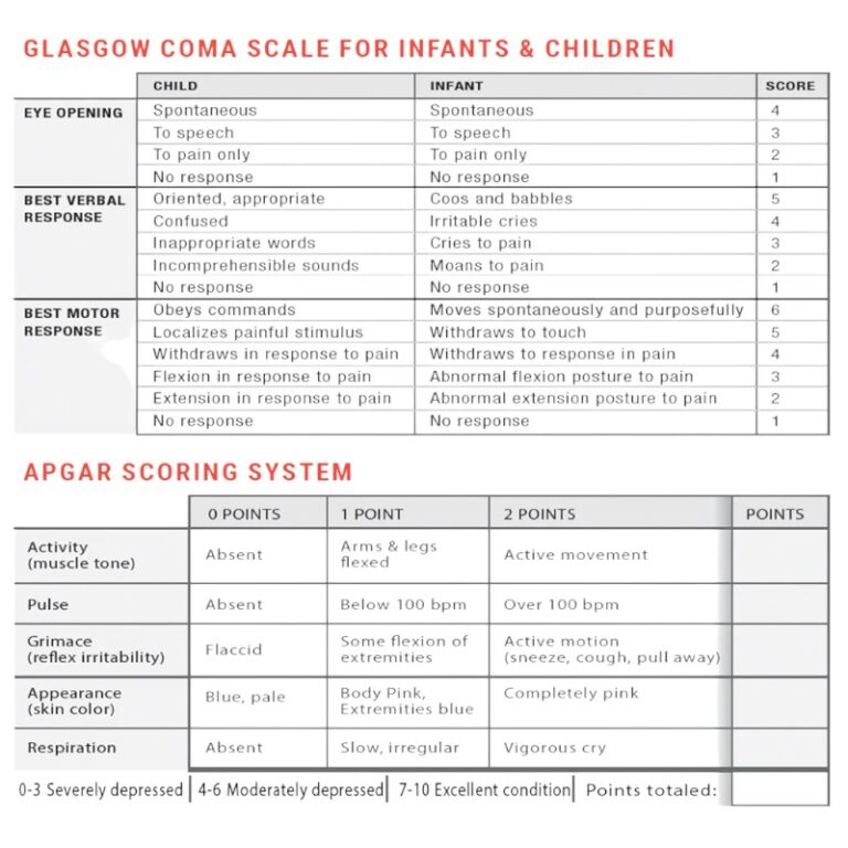 Pediatric Dosing Tape, Dose by Growth PALS Pediatric Emergency Tape ...