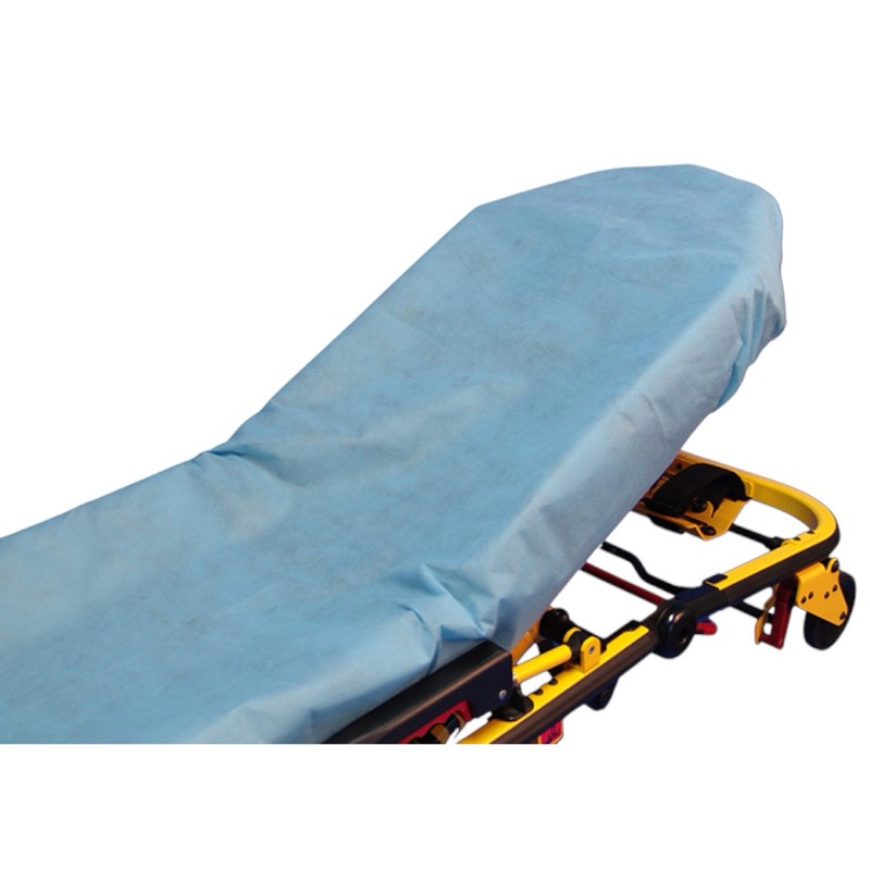 Sheet, Taylor, SureFit Fitted, - Penn Care, Inc.